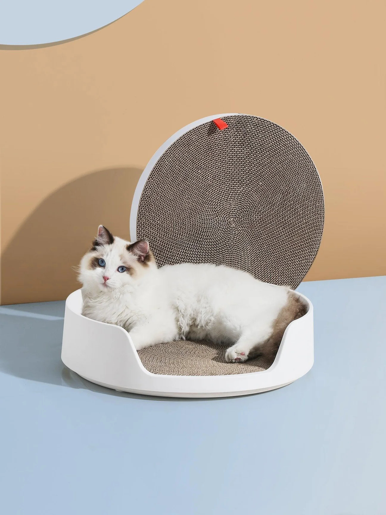 CAIXA DE AREIA PARA GATO - CASTELO MAYITWILL XL - Gato Feliz - Happy ...