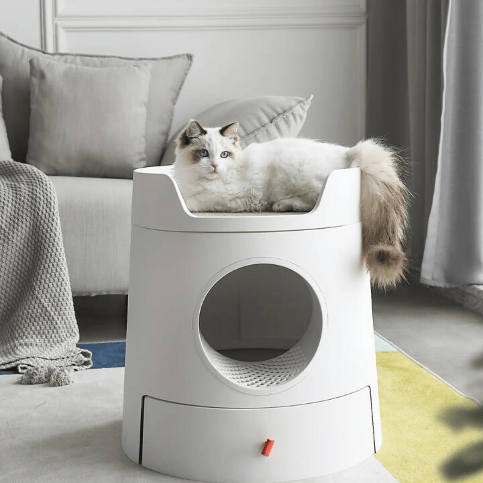 CAIXA DE AREIA PARA GATO - CASTELO MAYITWILL XL - Gato Feliz - Happy ...