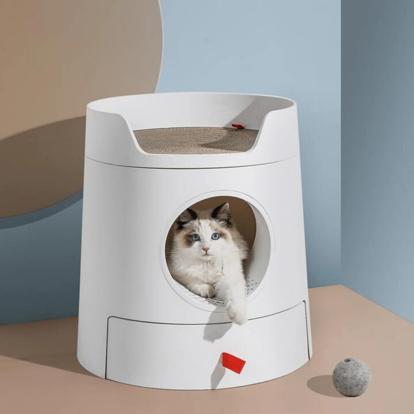 CAIXA DE AREIA PARA GATO - CASTELO MAYITWILL XL - Gato Feliz - Happy ...