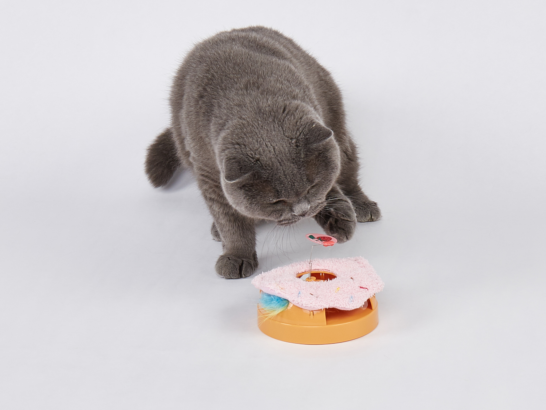 Brinquedo Interativo para Gato – Donut - Gato Feliz - Happy Meow | Loja ...
